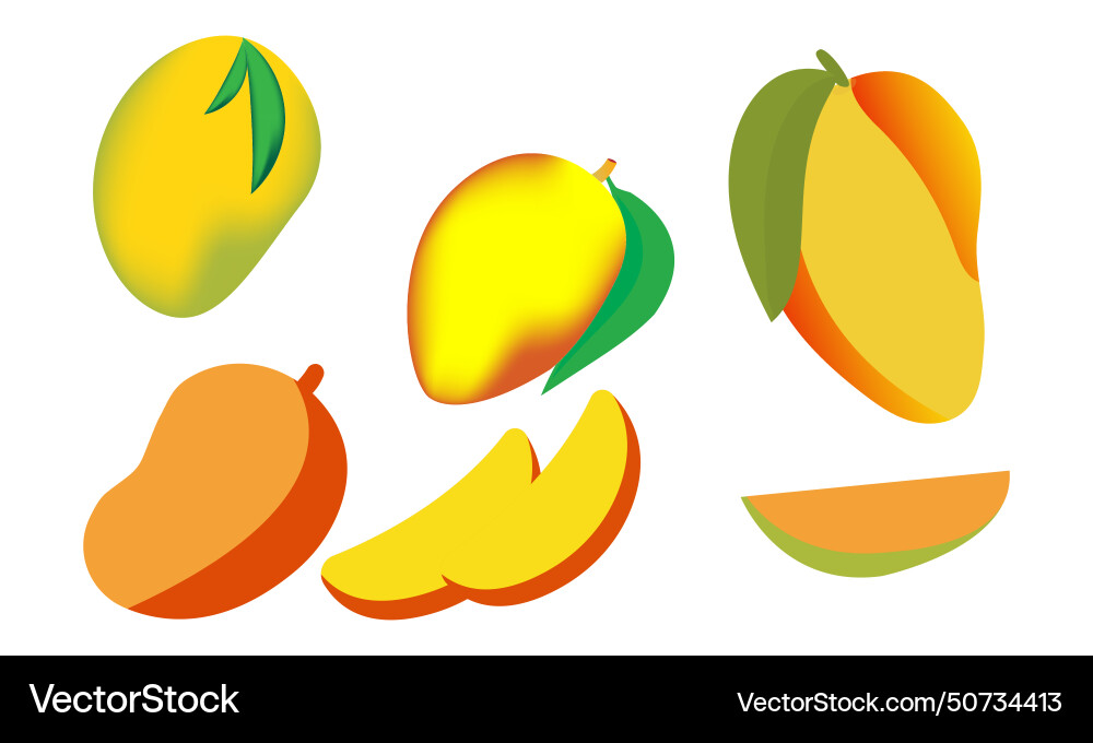 Mango design and bundle Royalty Free Vector Image