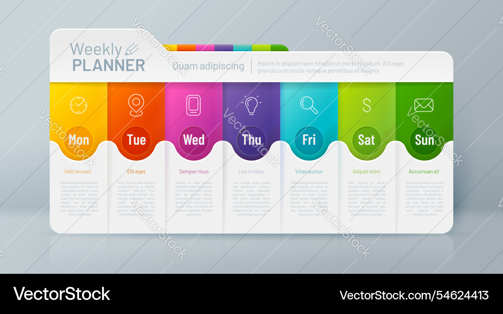 Weekly planner timeline infographic day schedule Vector Image