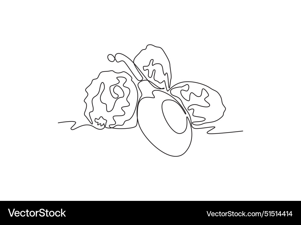 Continuous one line drawing stack whole healthy Vector Image