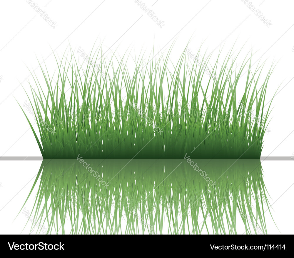 Grass on water Royalty Free Vector Image - VectorStock