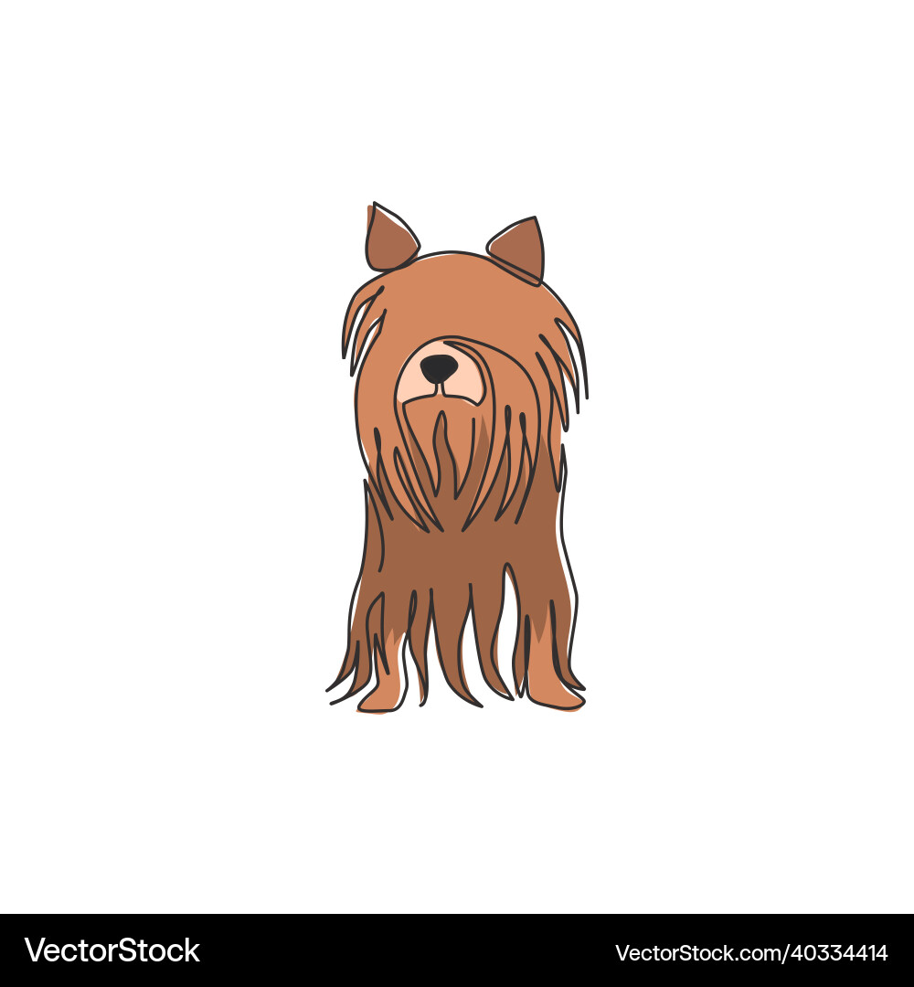One continuous line drawing of cute yorkshire Vector Image