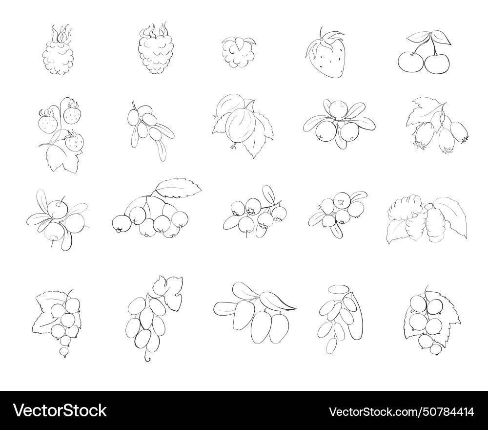 Set berry icons black outline collection Vector Image