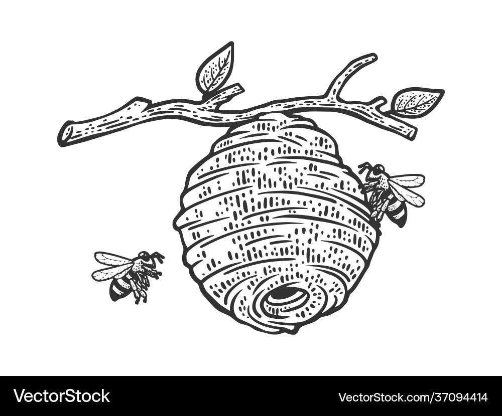 Wild Bees in a Tree Sketch Royalty Free Vector Image