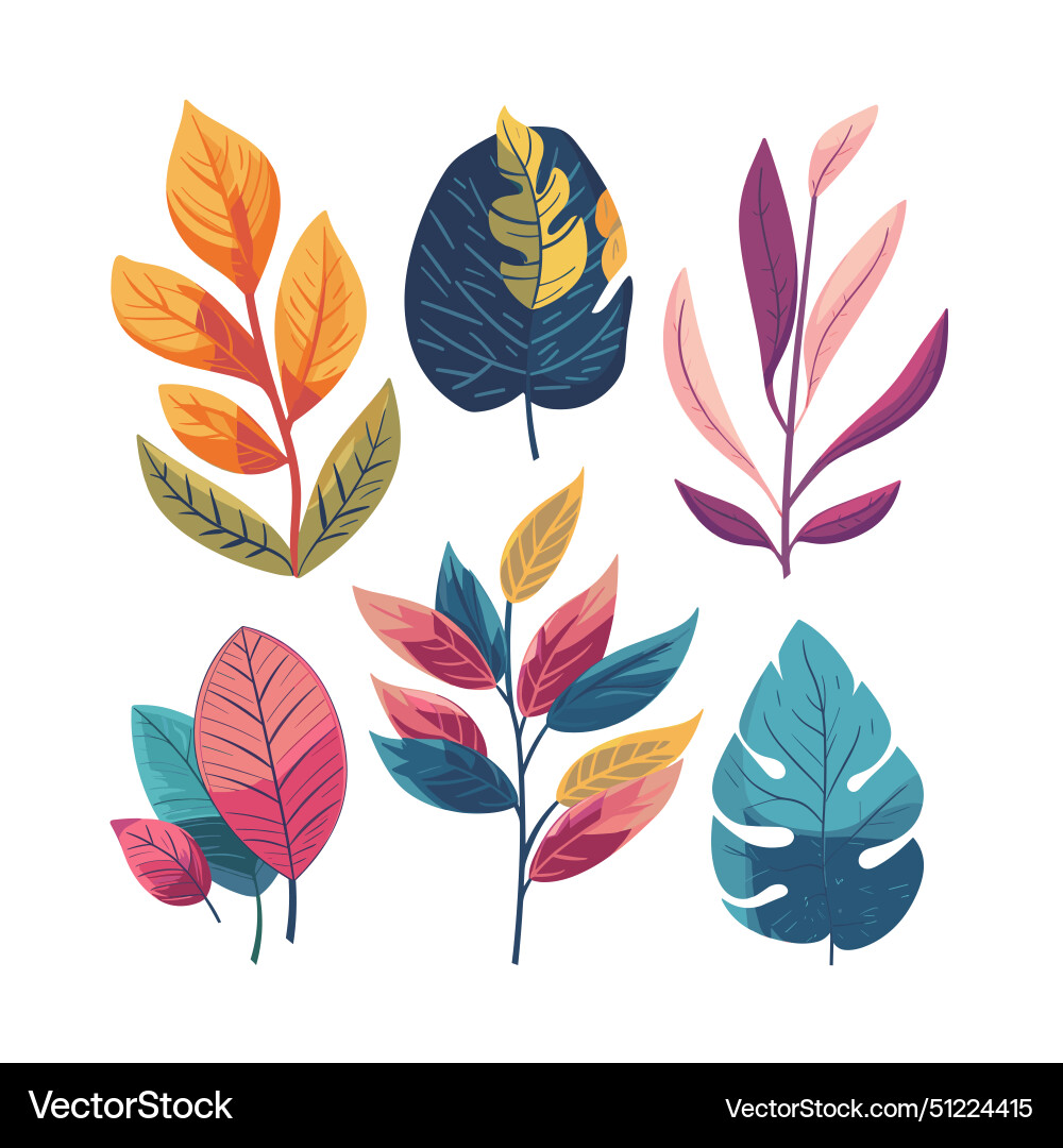 Set stylized tropical leaves various shapes colors