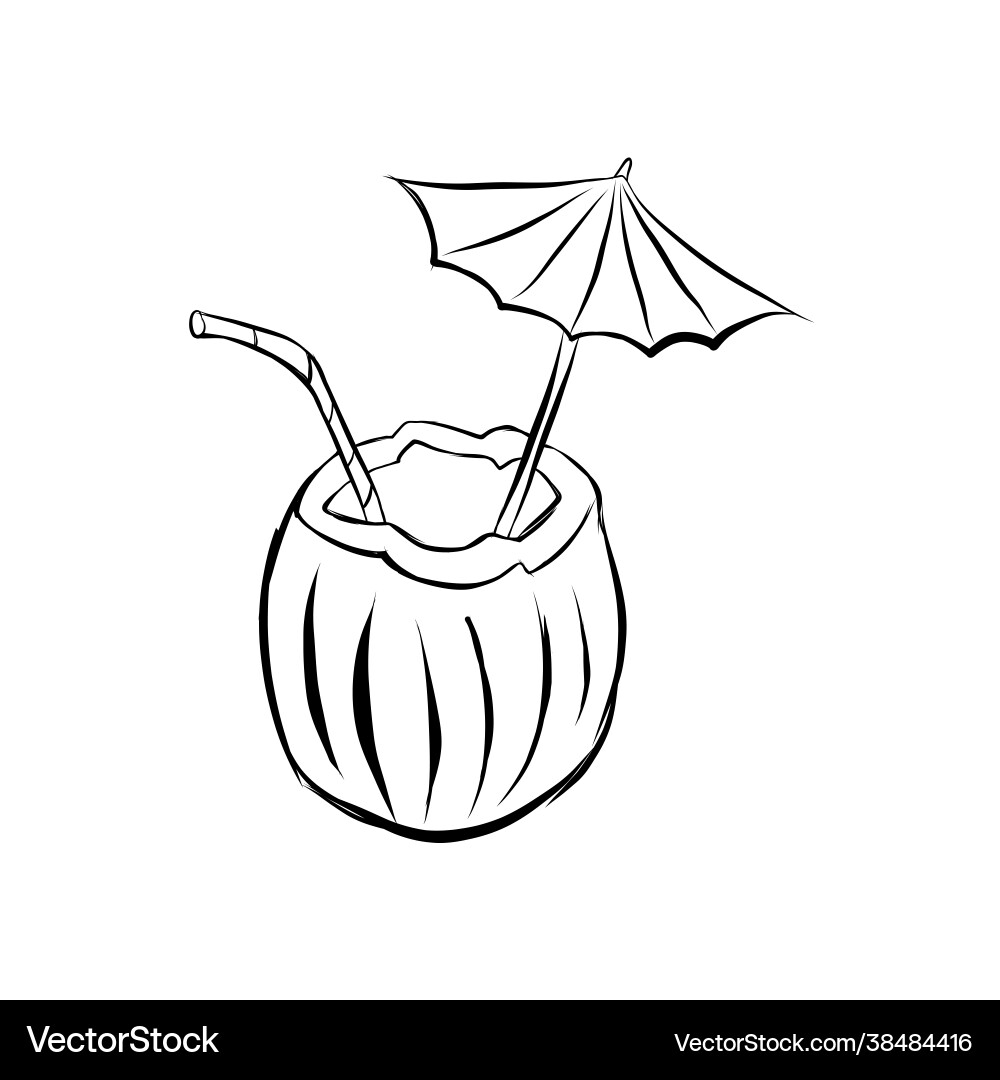 Coconut cocktail hand draw Royalty Free Vector Image