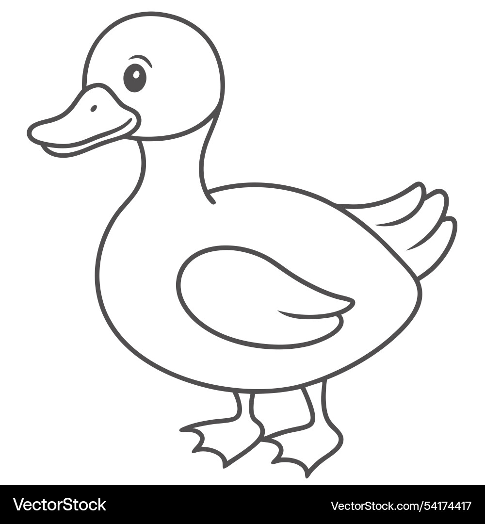 Cute baby duck outline drawing Royalty Free Vector Image