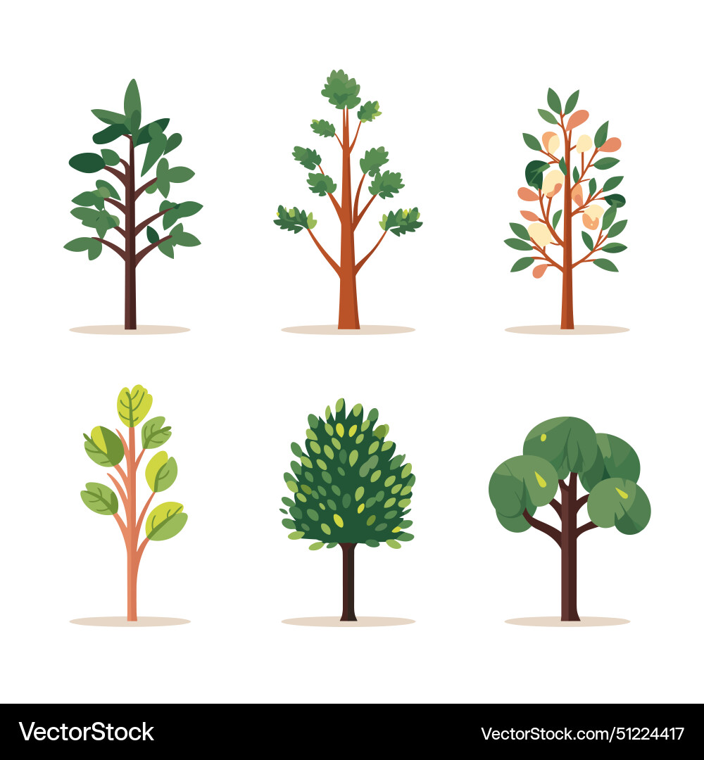 Six different types cartoon trees against isolated