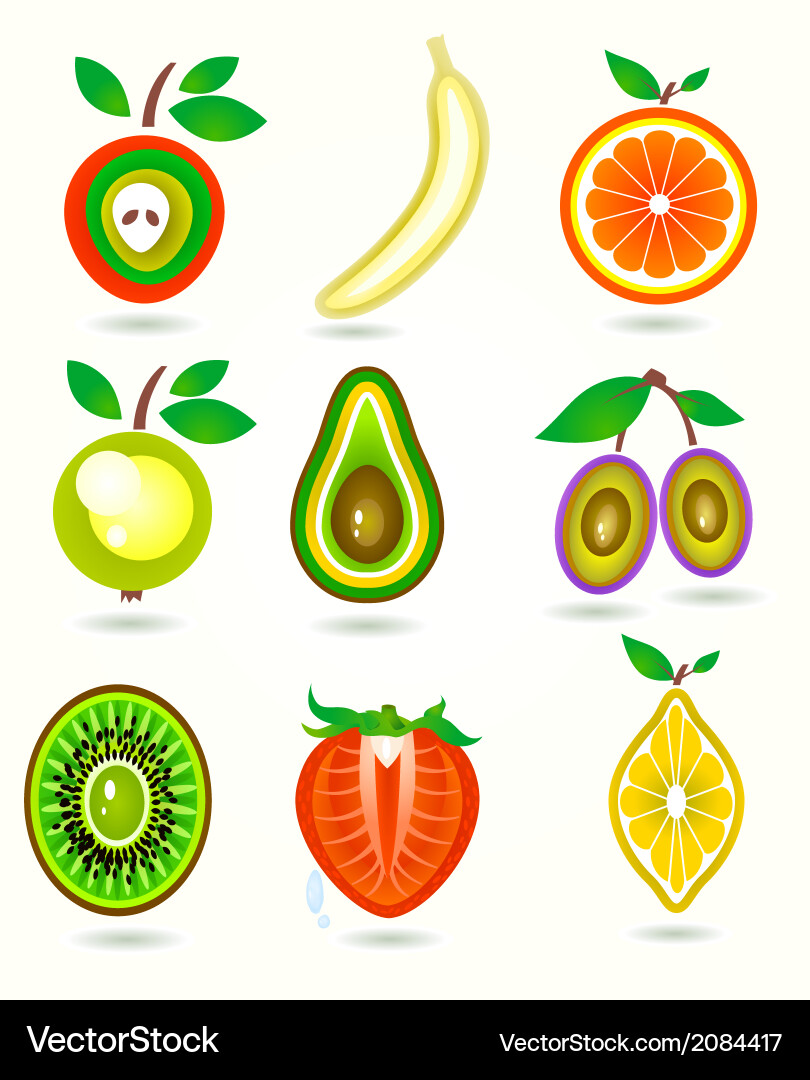 Stylized cut fruits Royalty Free Vector Image - VectorStock