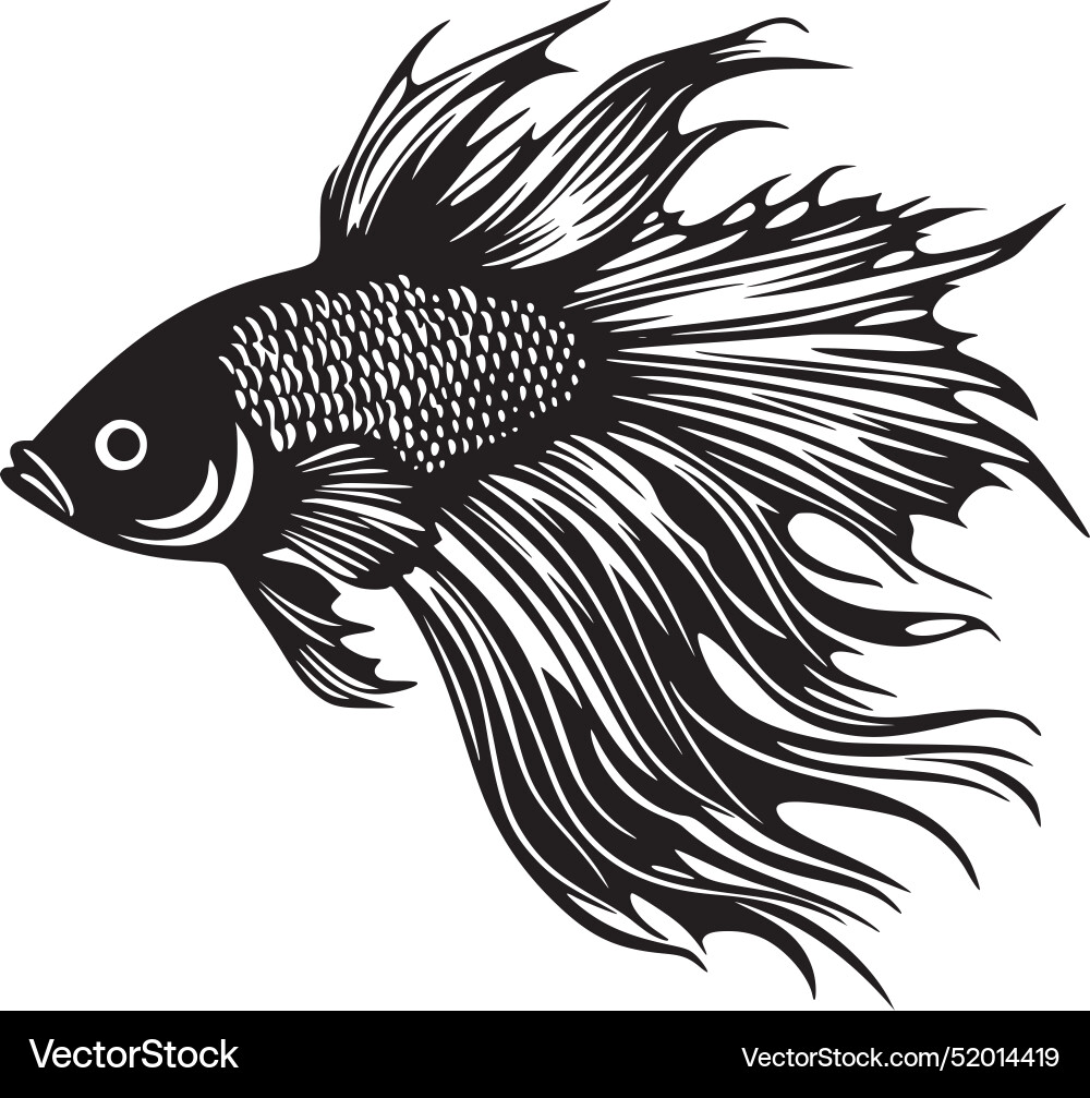 Betta fish - high quality logo ideal Royalty Free Vector