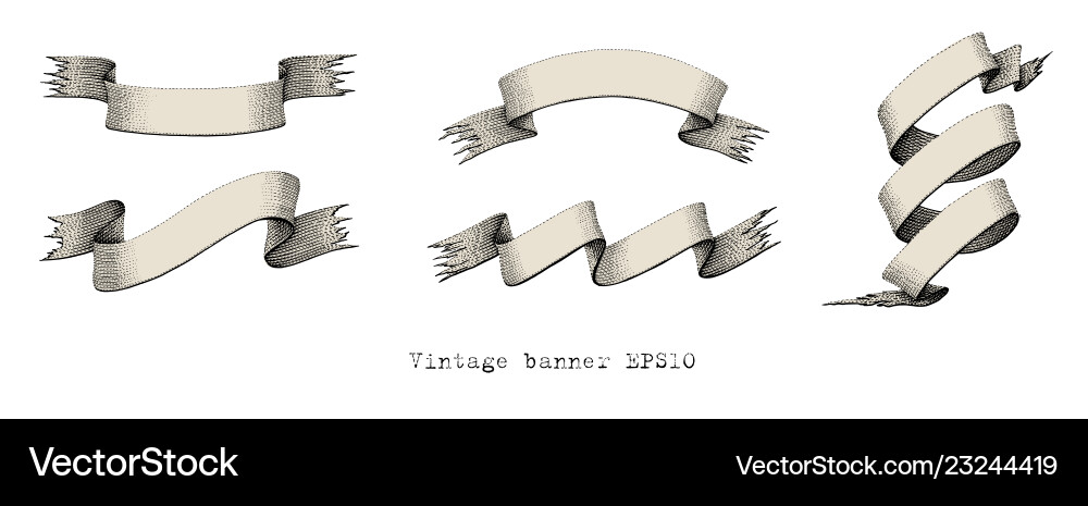 Vintage banners hand drawing engraving Royalty Free Vector