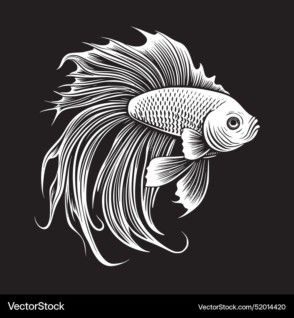 Betta fish - black and white Royalty Free Vector Image