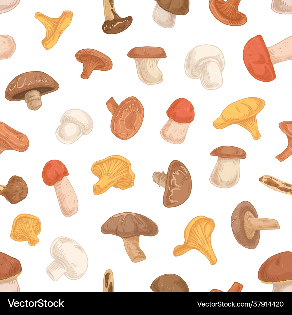 Fungi Pattern - Forest Mushrooms Royalty Free Vector Image