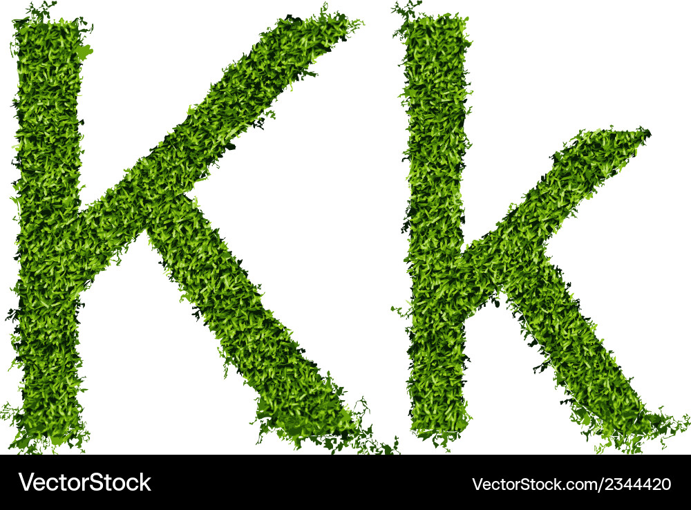 Isolated grass alphabet on white background Vector Image