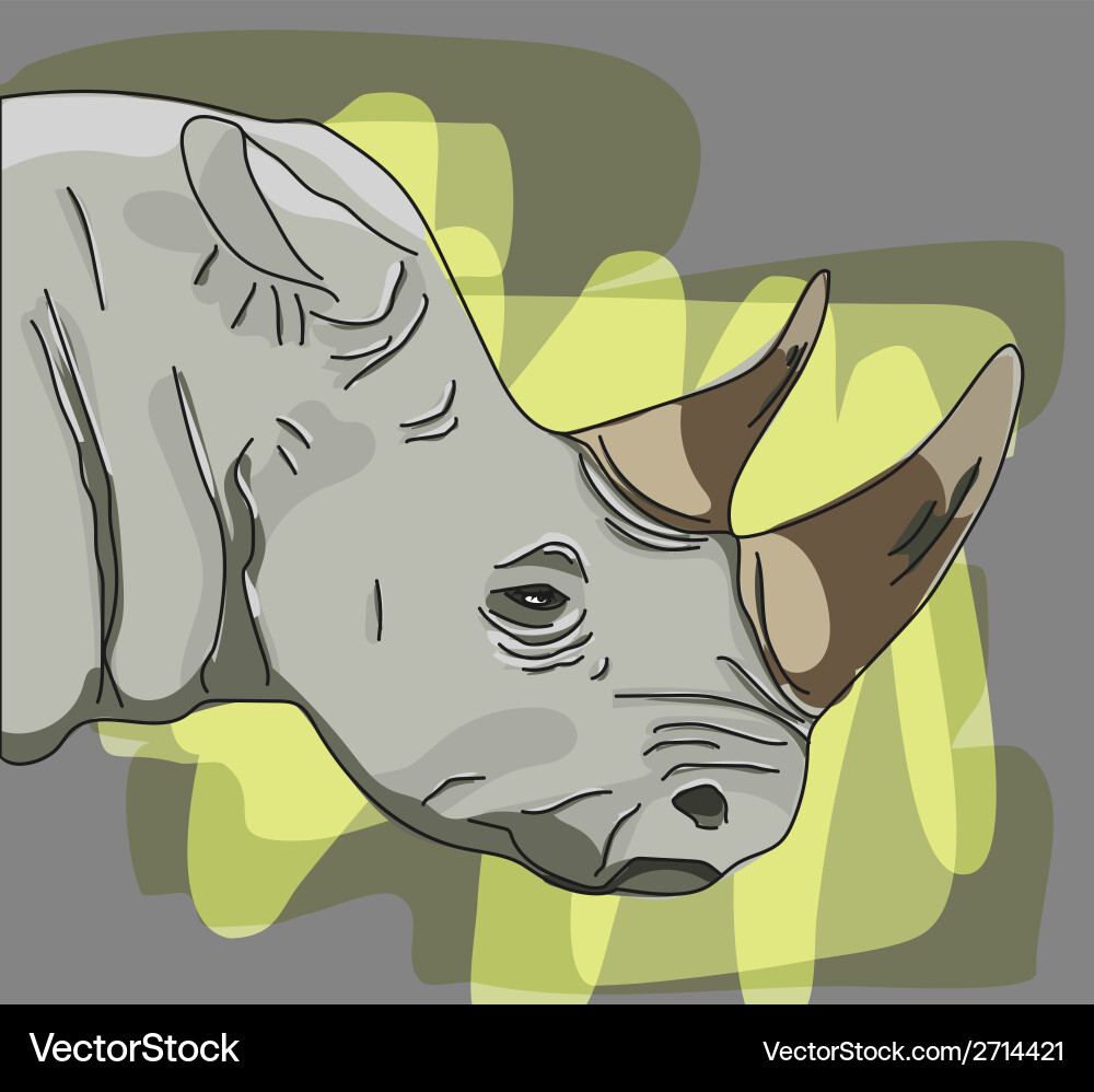 Rhino Portrait Royalty Free Vector Image - VectorStock