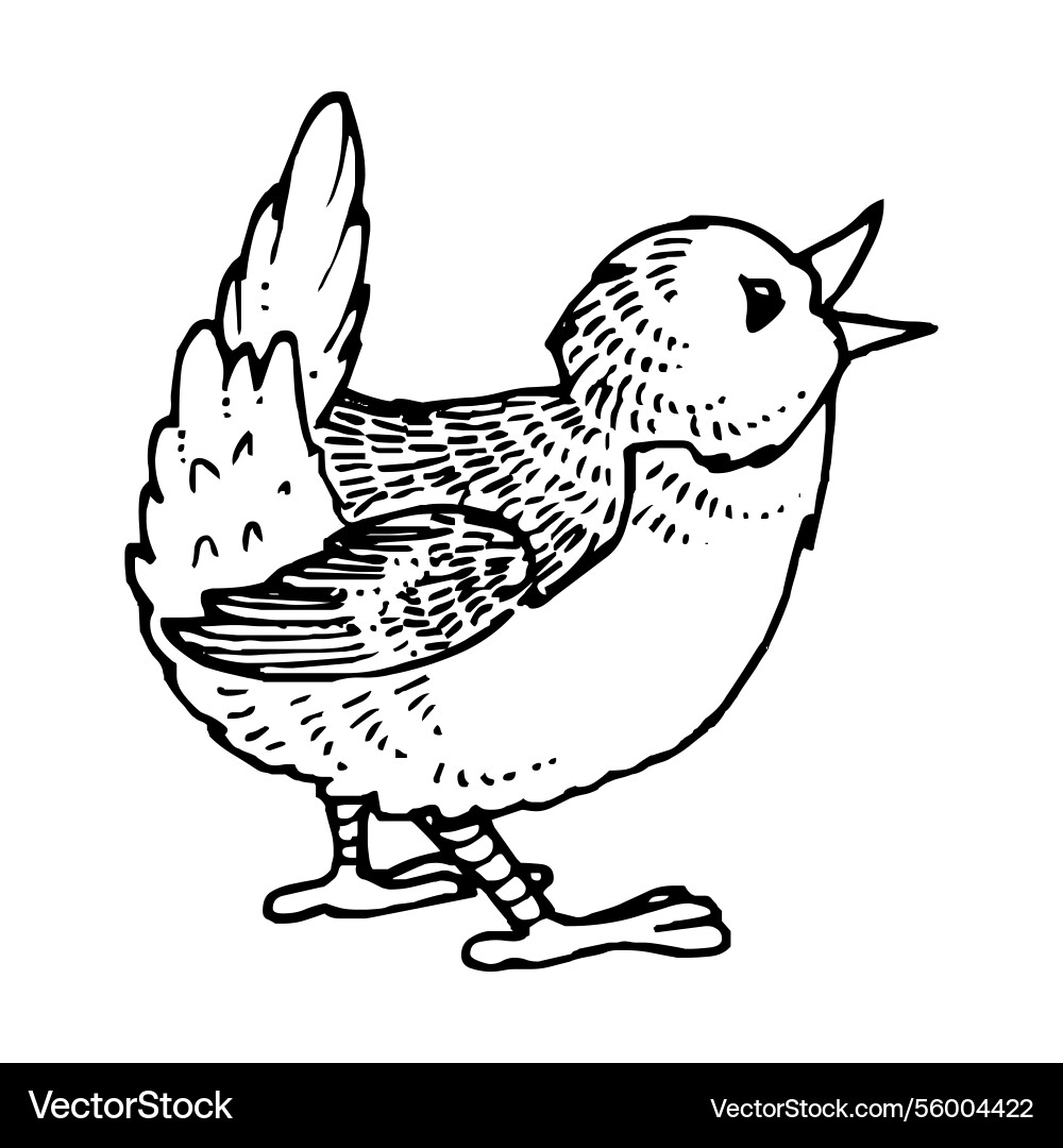 Chirping Baby Bird Royalty Free Vector Image - VectorStock
