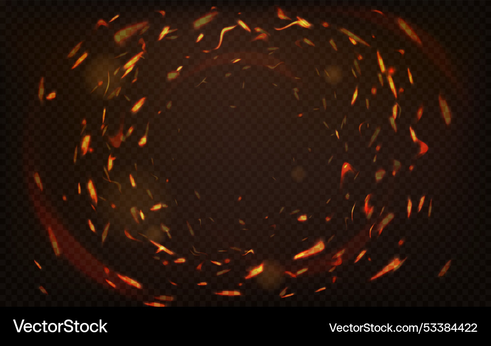 Fire sparks abstract circle light effect Vector Image