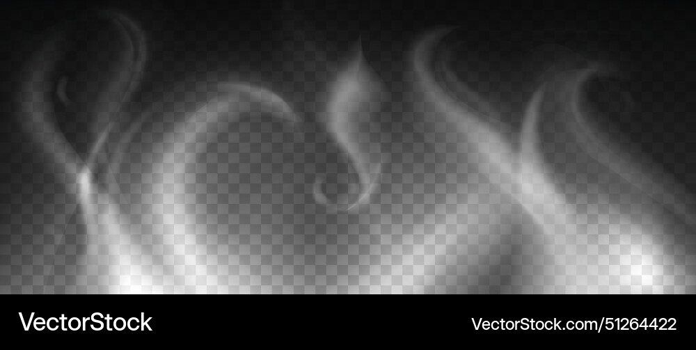 Smoke or hot white steam realistic texture Vector Image