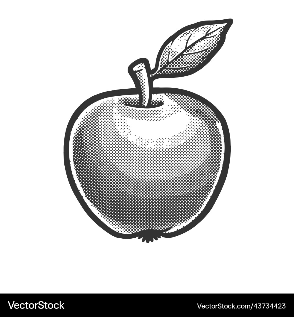 Apple sketch Royalty Free Vector Image - VectorStock