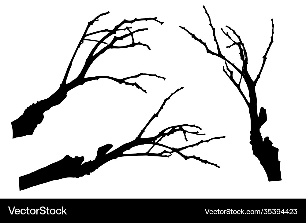 Bare branches rowan tree silhouette Royalty Free Vector