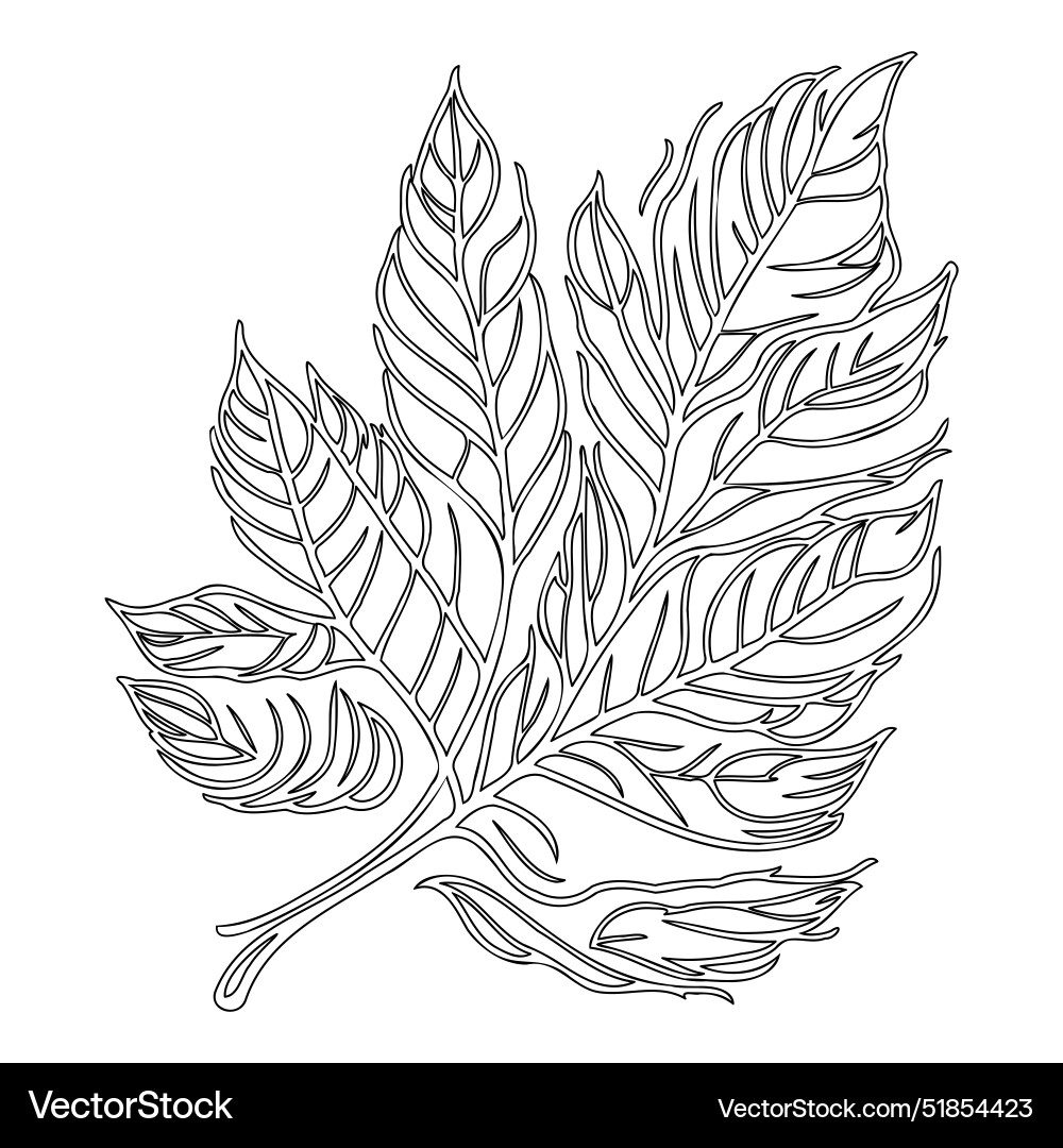 Chestnut leaf floral outline sketch Royalty Free Vector
