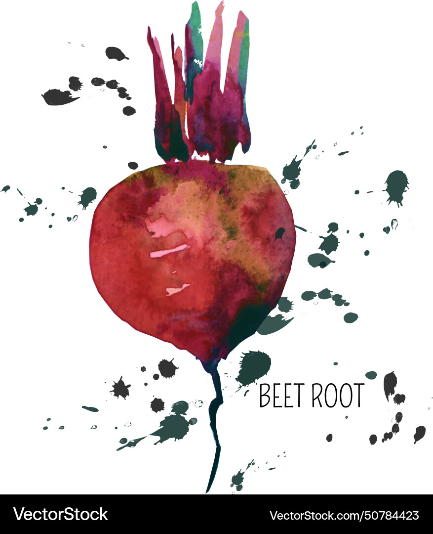 Hand drawn fresh food design element isolated Vector Image