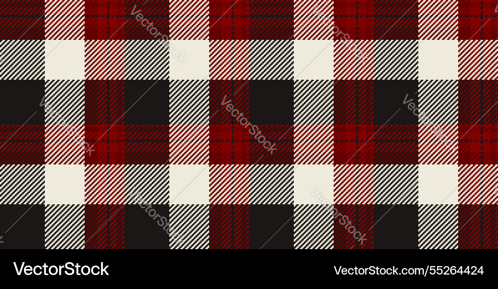 Classic red black and white plaid pattern perfect Vector Image