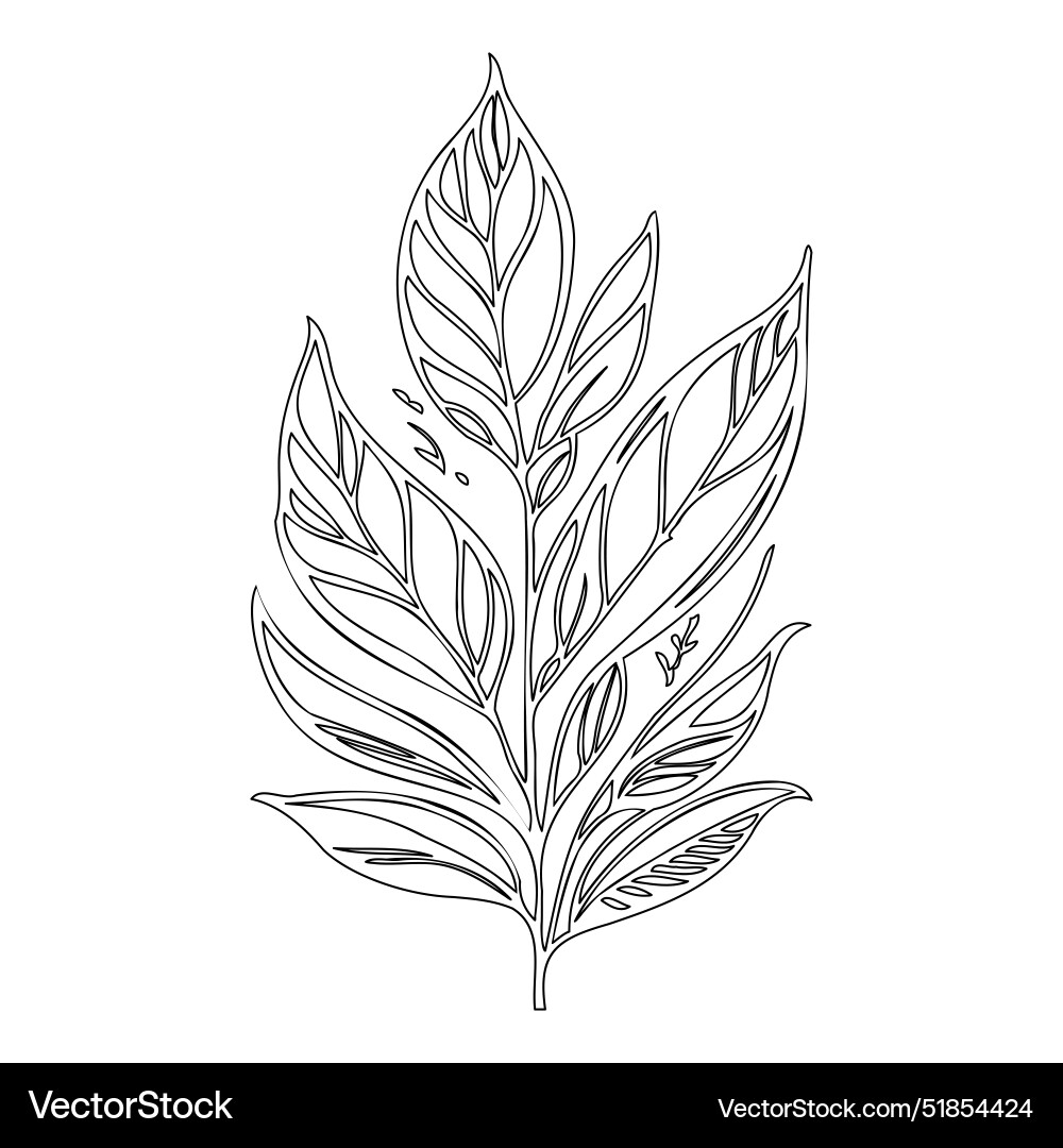 Lilac leaf floral outline sketch Royalty Free Vector Image