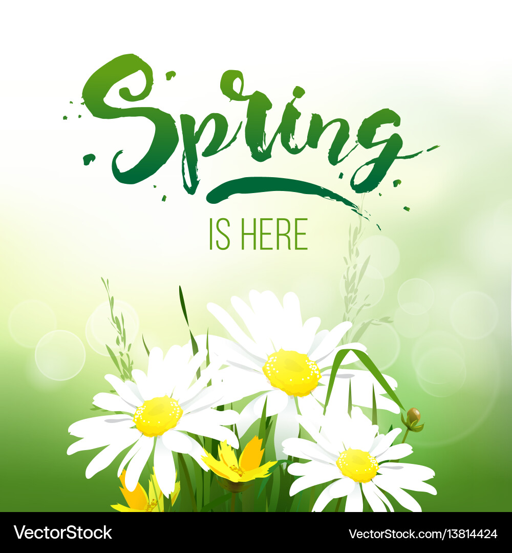 Spring sale background with beautiful colorful Vector Image