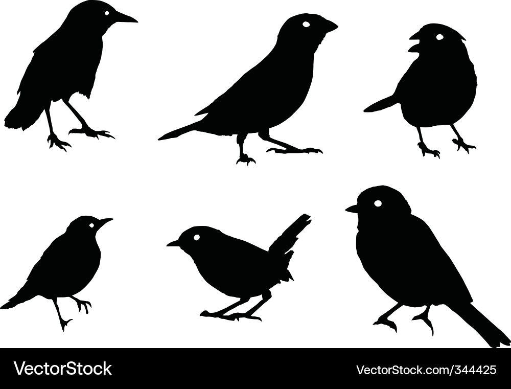 Birds Royalty Free Vector Image - VectorStock