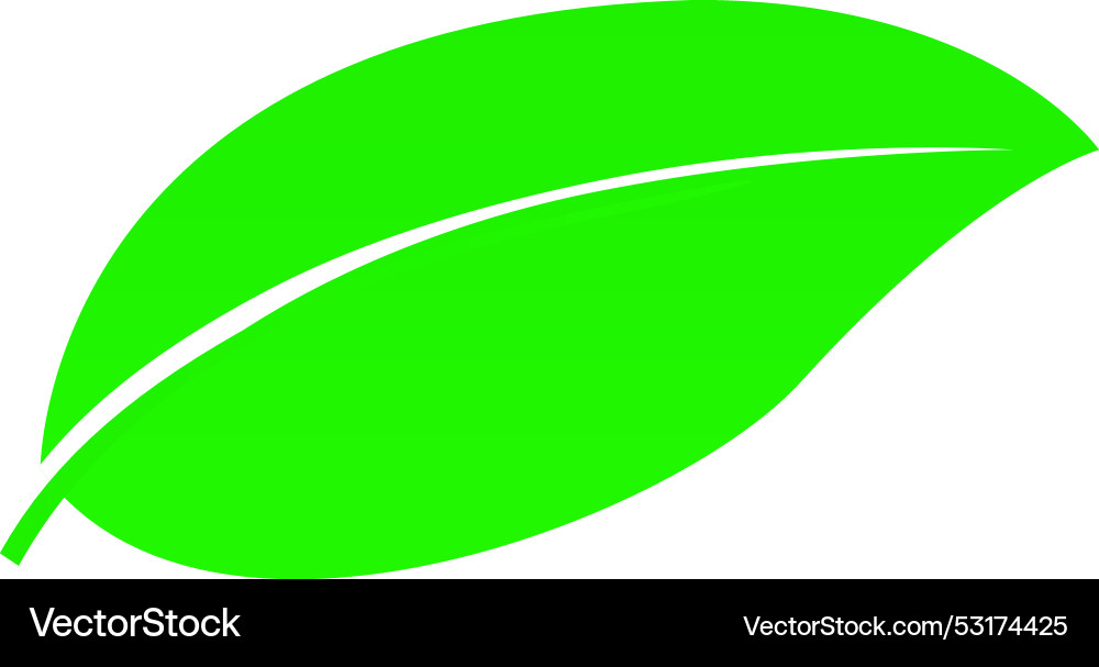 Green leaf icon tree nature element Royalty Free Vector