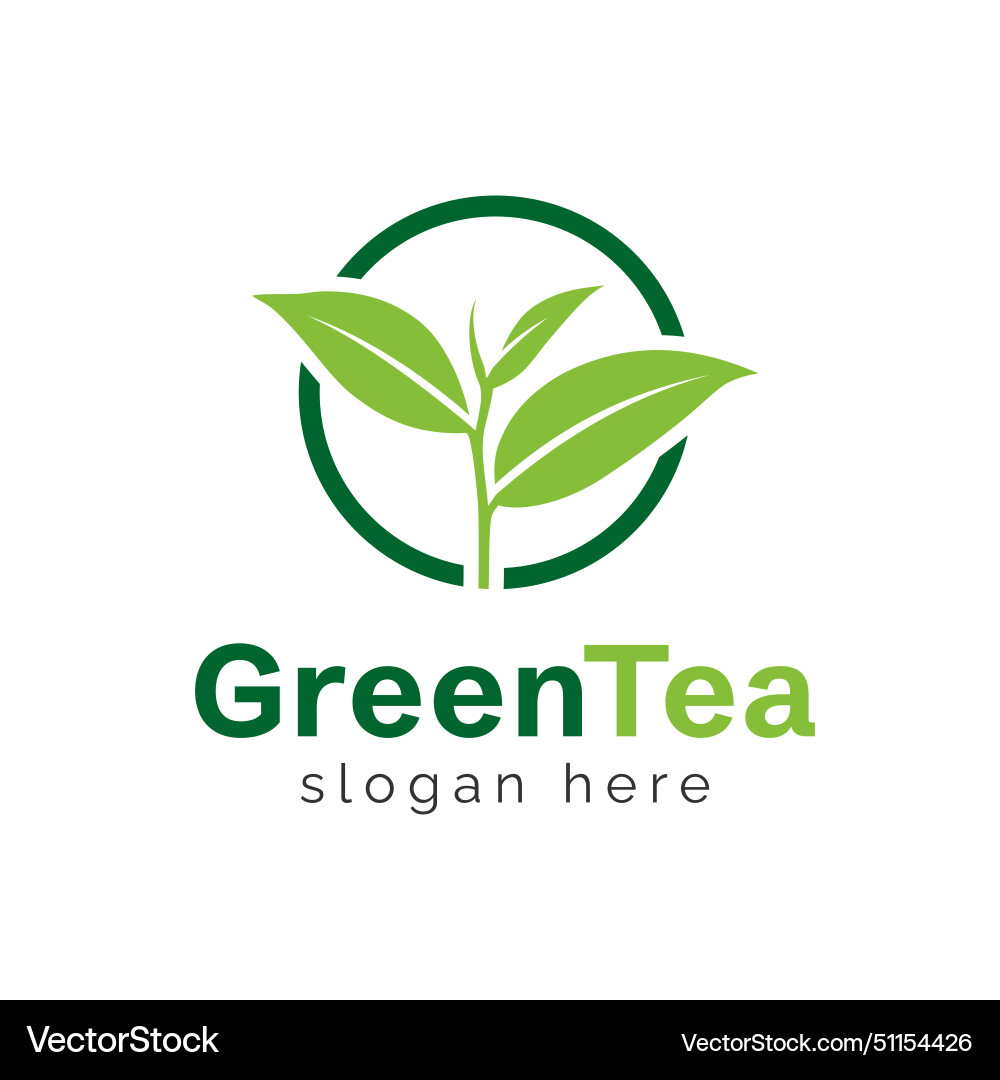 Green tea logo design or tea leaf logo Royalty Free Vector