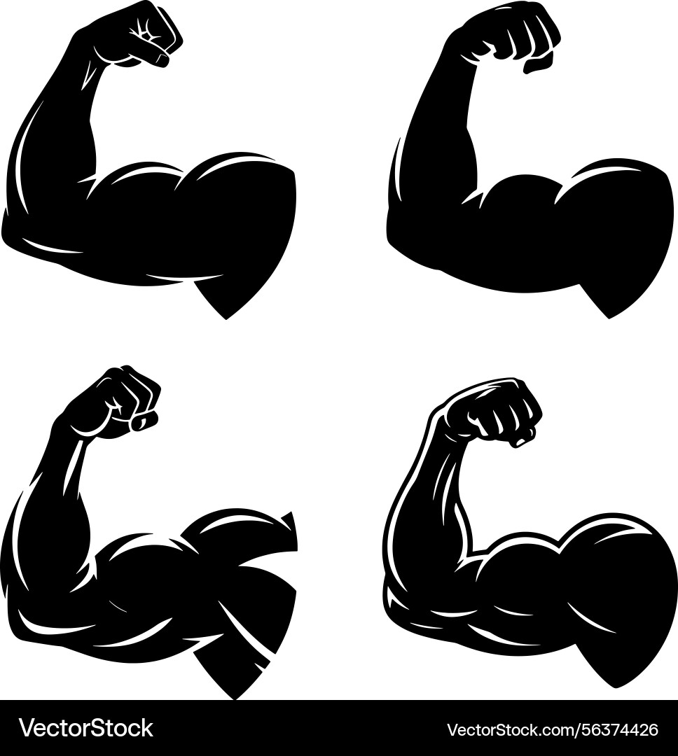 Minimalist muscle arms icon set Royalty Free Vector Image