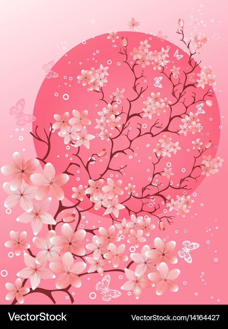 Cherry Blossom Spring Background Royalty Free Vector Image