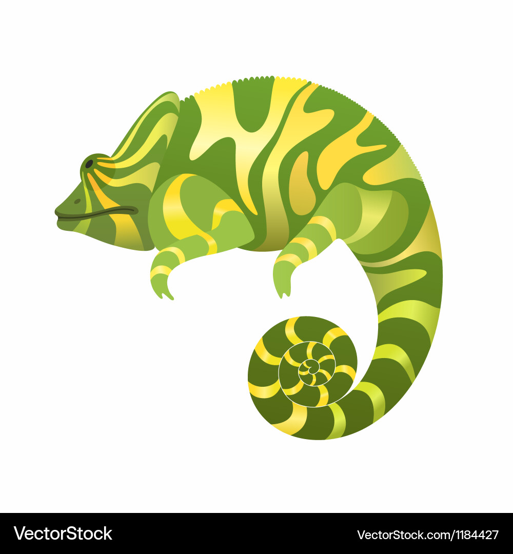 Colorful Chameleon Graphic Royalty Free Vector Image