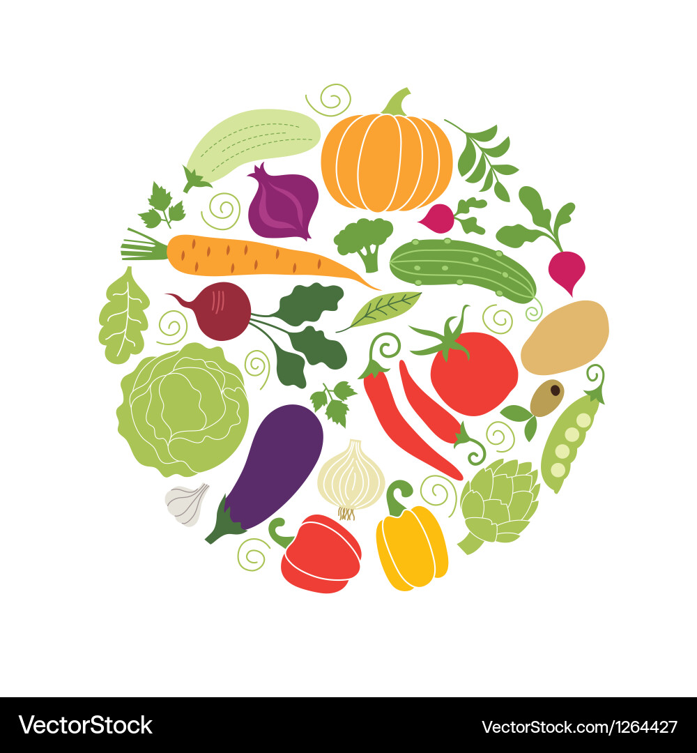 Food Royalty Free Vector Image - VectorStock