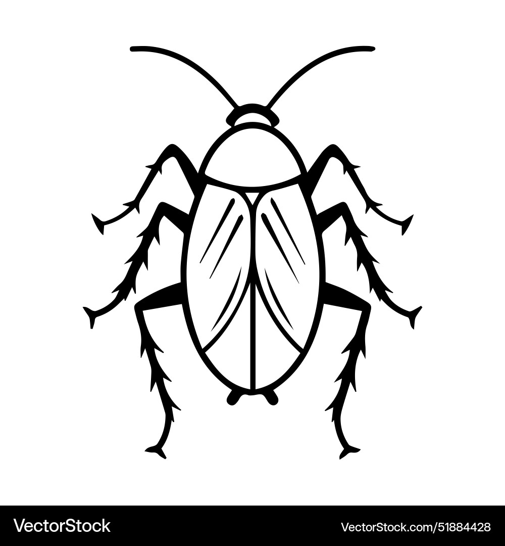Cockroach icon or modern line symbol art Vector Image