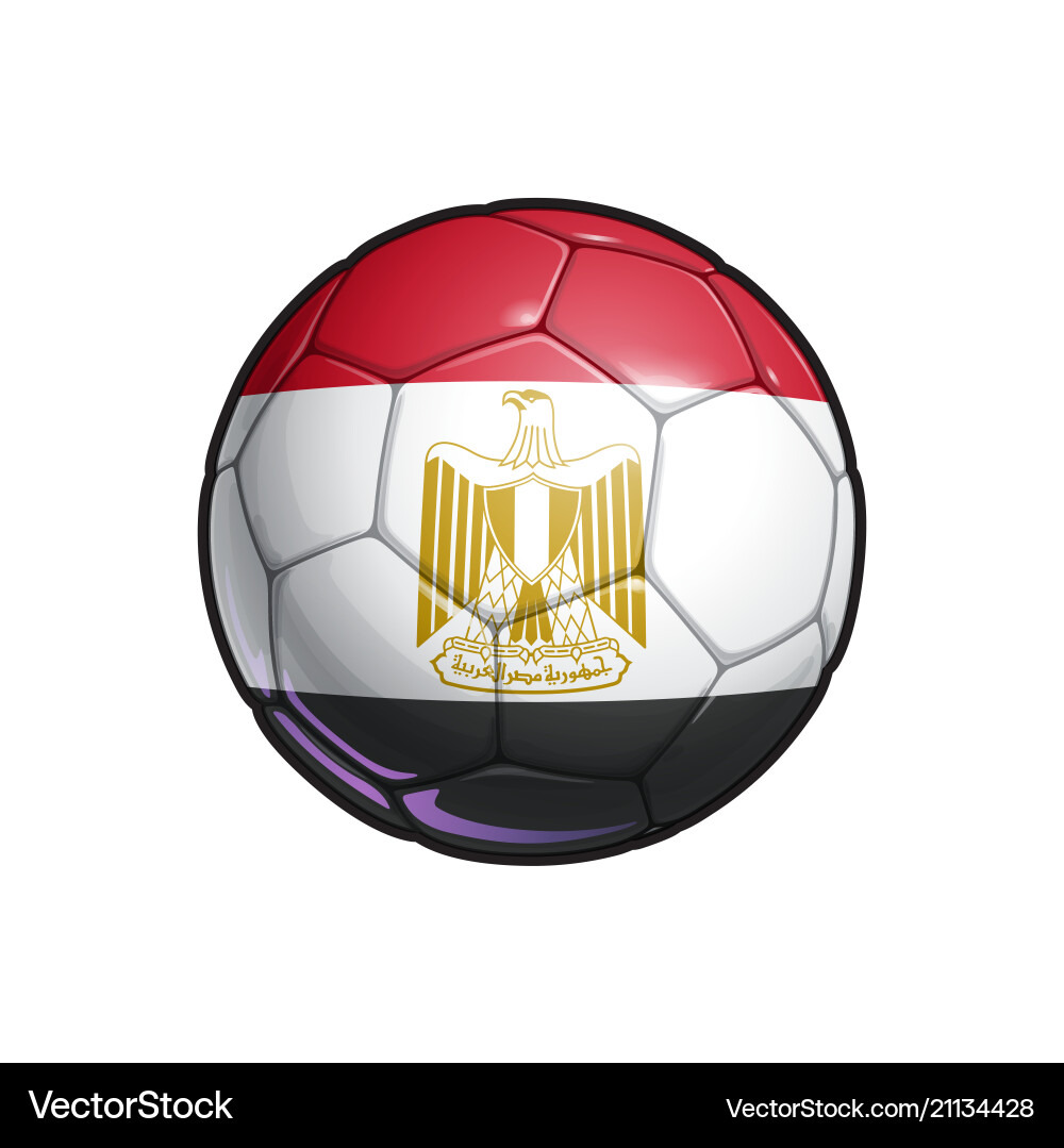 Egyptian Soccer Ball with Flag Royalty Free Vector Image