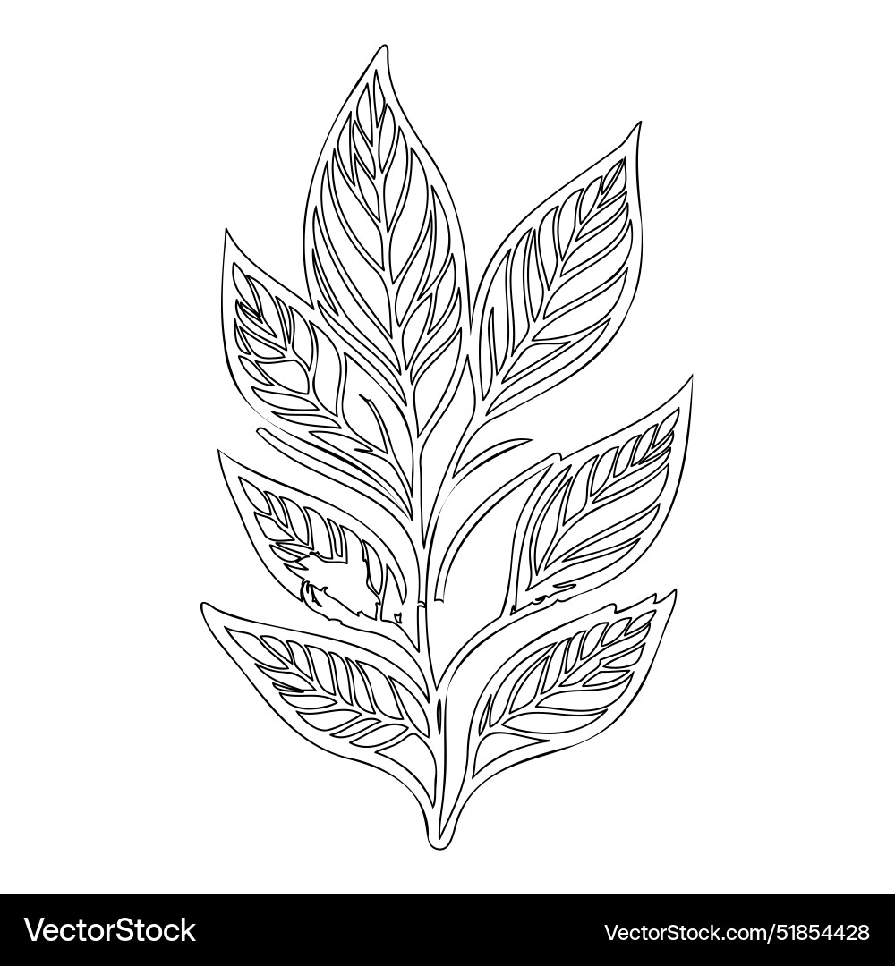 Lilac leaf floral outline sketch Royalty Free Vector Image