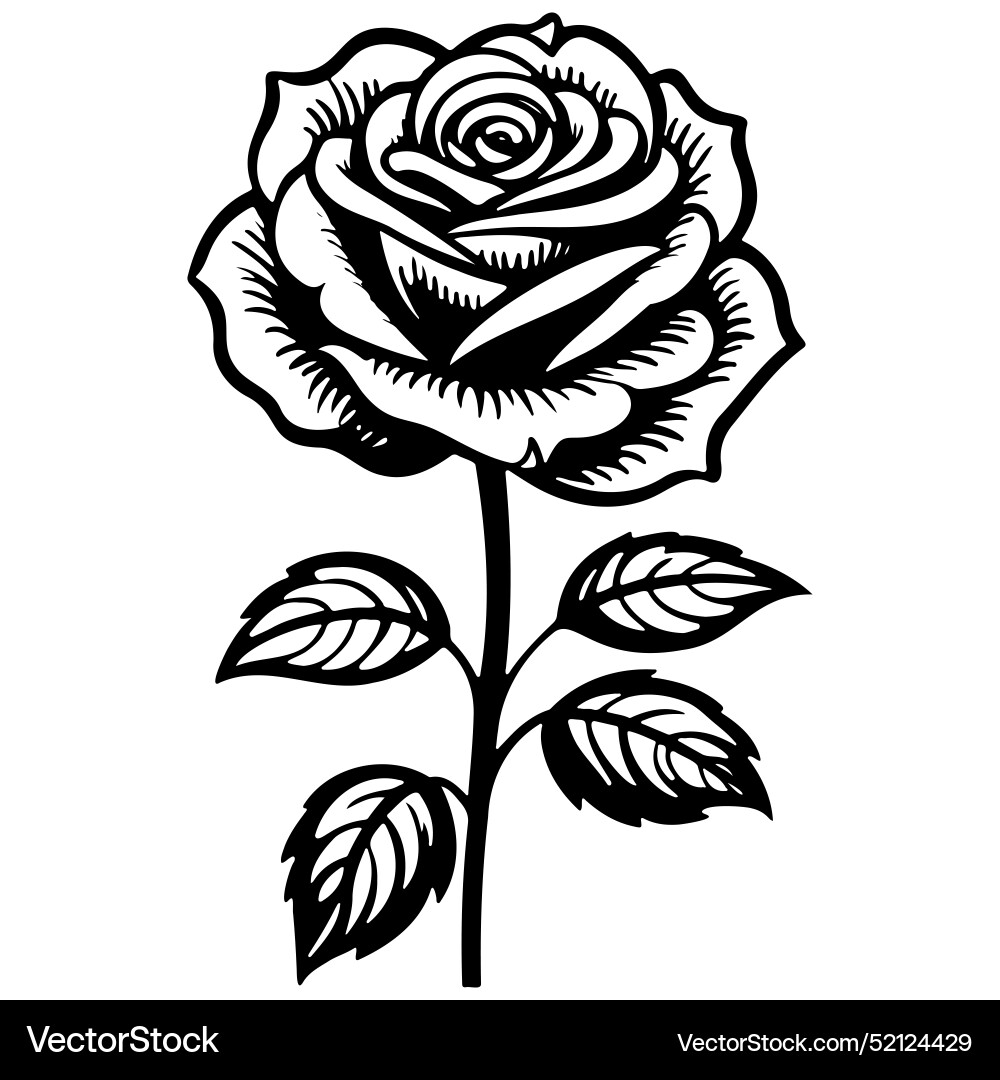 Drawing cartoon rose monochrome hand drawn line Vector Image