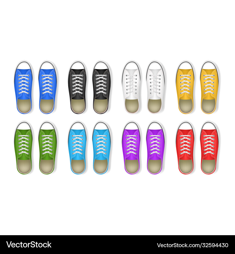 Detailed 3D Sneaker Pair - Trendy Colors Vector Image