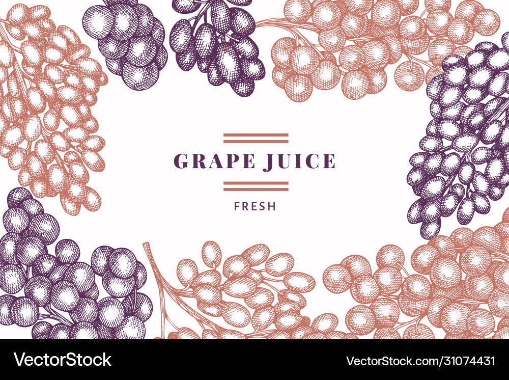 Grape design template hand drawn berry Royalty Free Vector