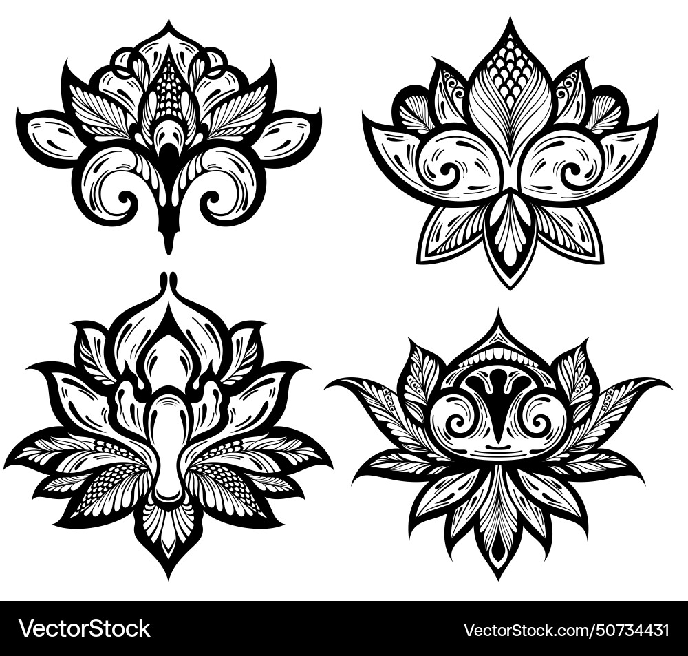 Lotus flower Royalty Free Vector Image - VectorStock