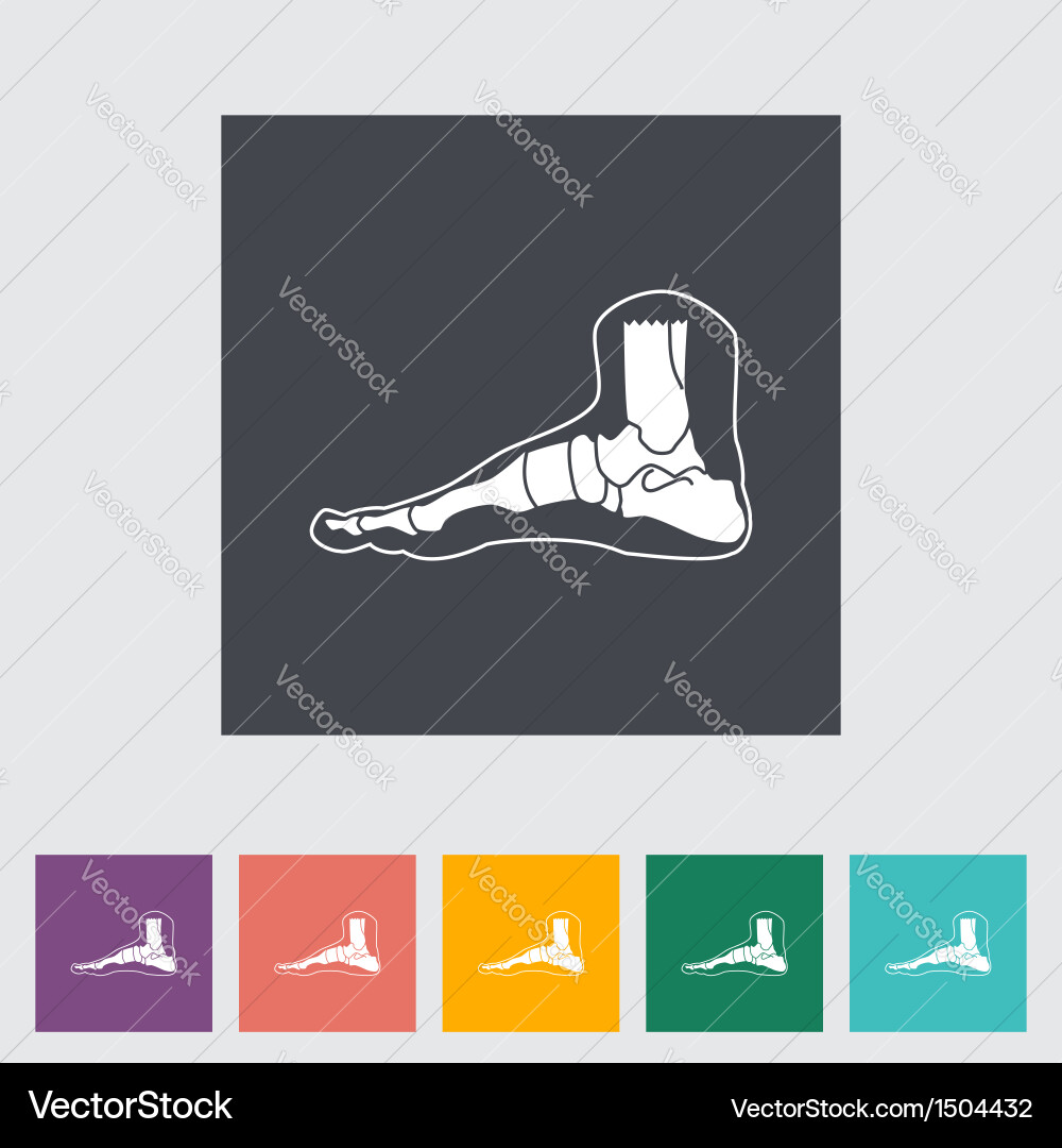 Foot Anatomy Flat Icon Royalty Free Vector Image