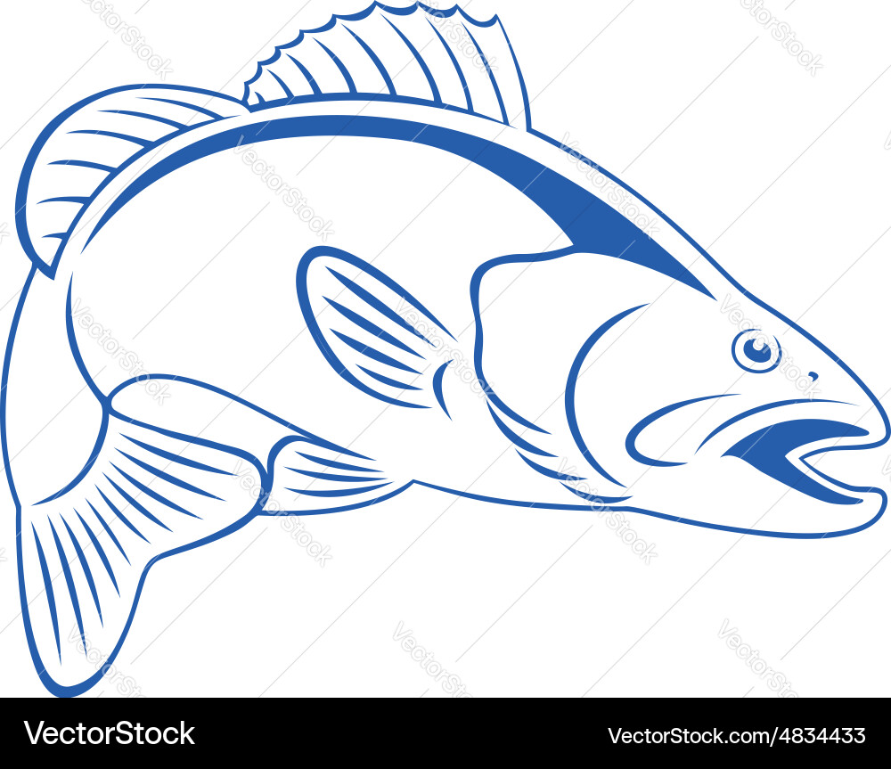 Colorful Fish Collection Royalty Free Vector Image