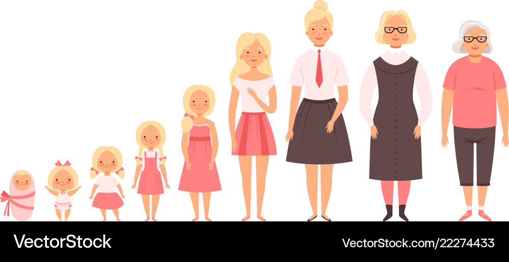 Human Lifecycle Stages Royalty Free Vector Image