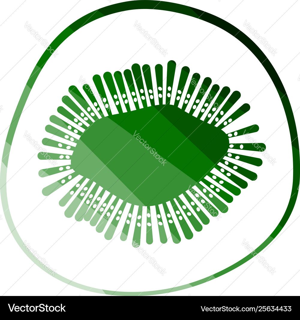 Icon of kiwi Royalty Free Vector Image - VectorStock