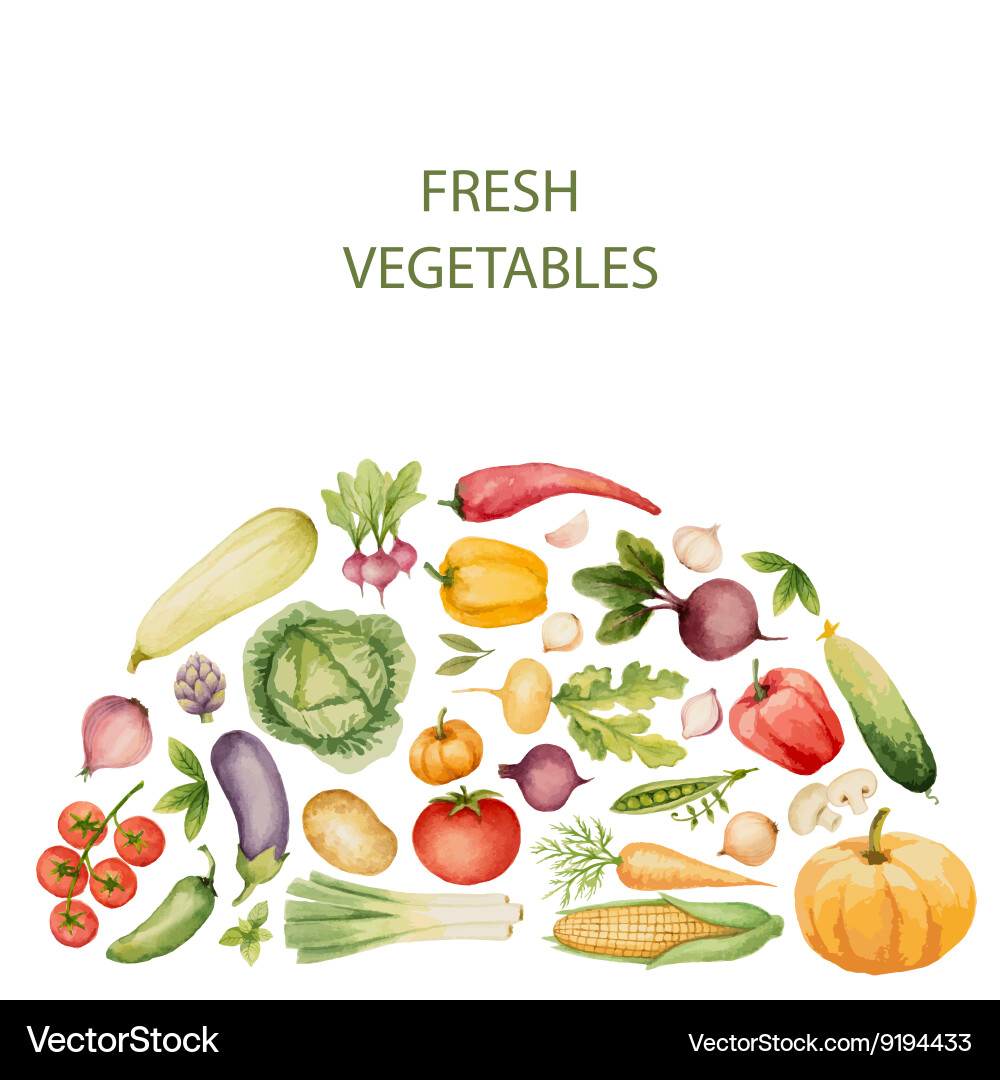 Watercolor organic food template Royalty Free Vector Image