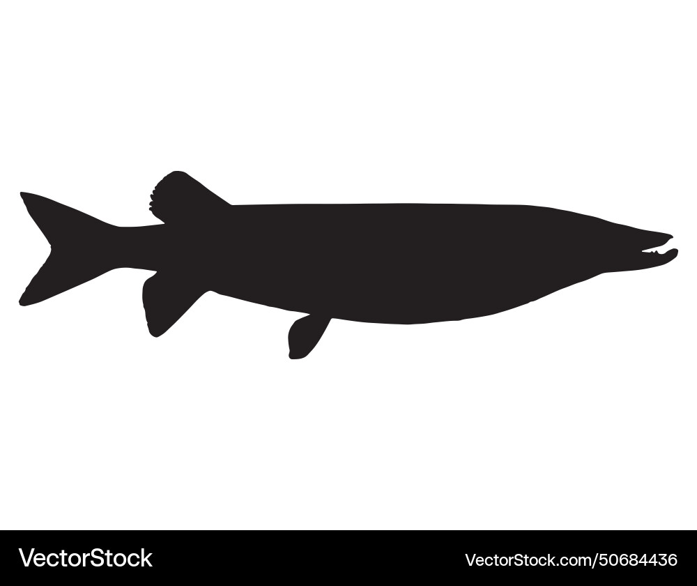 Muskellunge fish silhouette art Royalty Free Vector Image