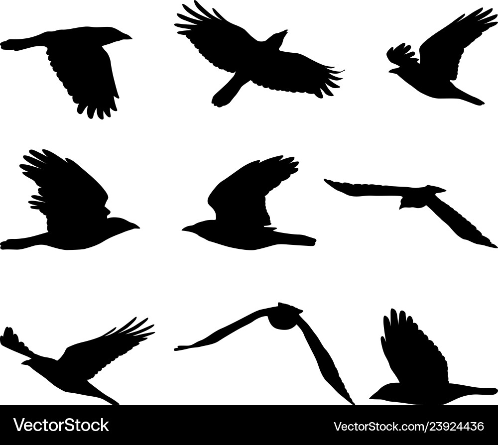 Raven Royalty Free Vector Image - VectorStock