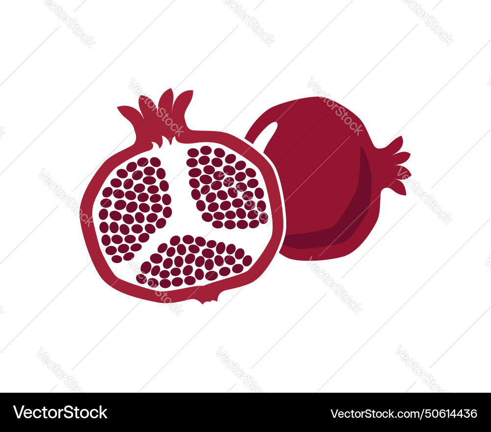 Two pomegranates Royalty Free Vector Image - VectorStock